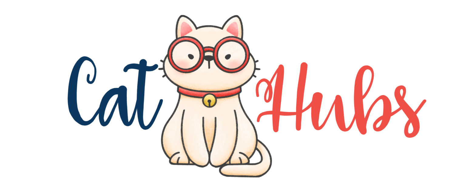 Why Is My Cat's Head Hot? When Should I See The Vet?